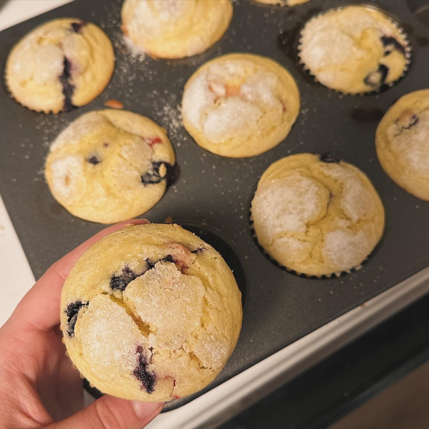 Jaden Towery | Greatest Baker