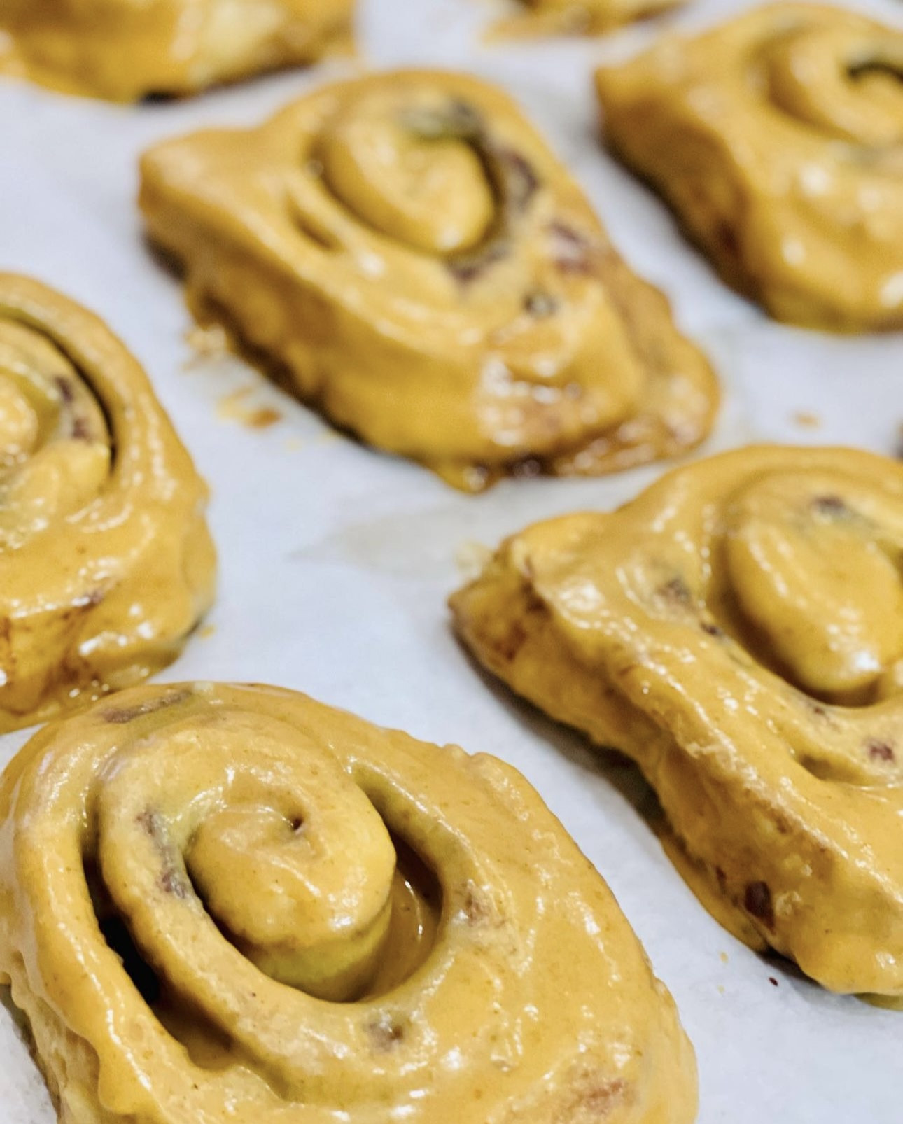 Morgan Morrison | Greatest Baker